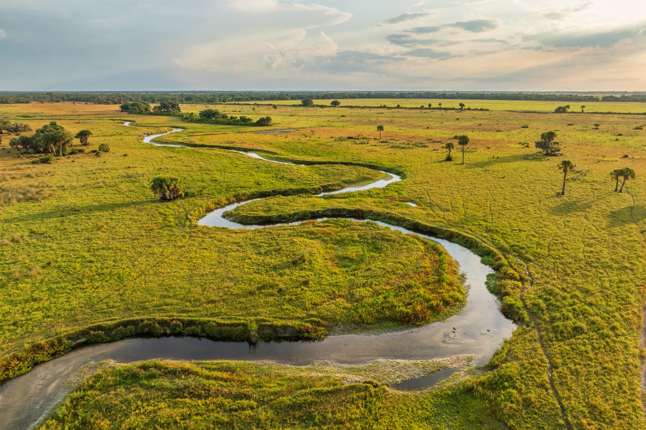 Florida Conservation Group