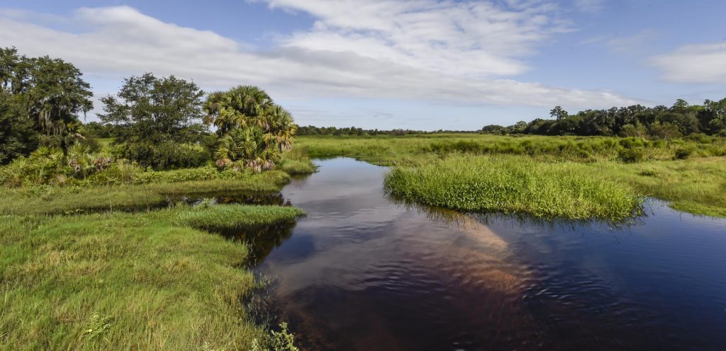 Simple, Efficient, and Effective: How Florida Ranchlands Safeguard Our ...