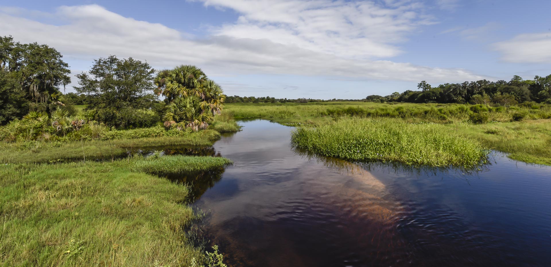 Land Conservation | Florida Conservation Group