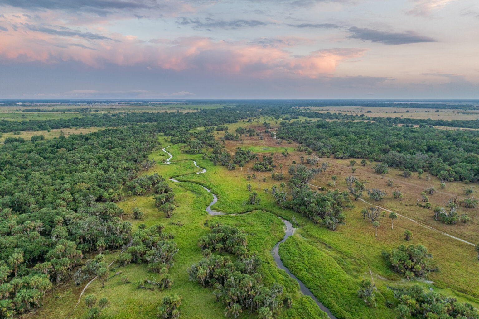 The Great Florida Prairie – Florida Conservation Group