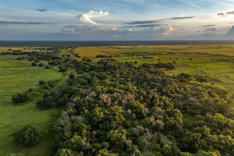 Florida Conservation Group