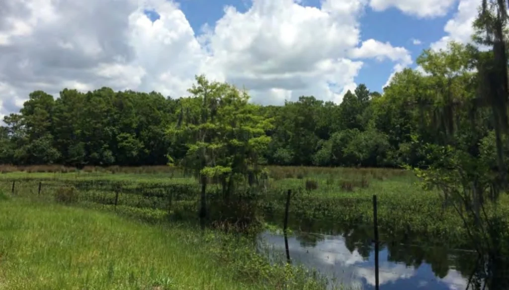 State agrees to protect nearly 40,000 acres of environmentally ...