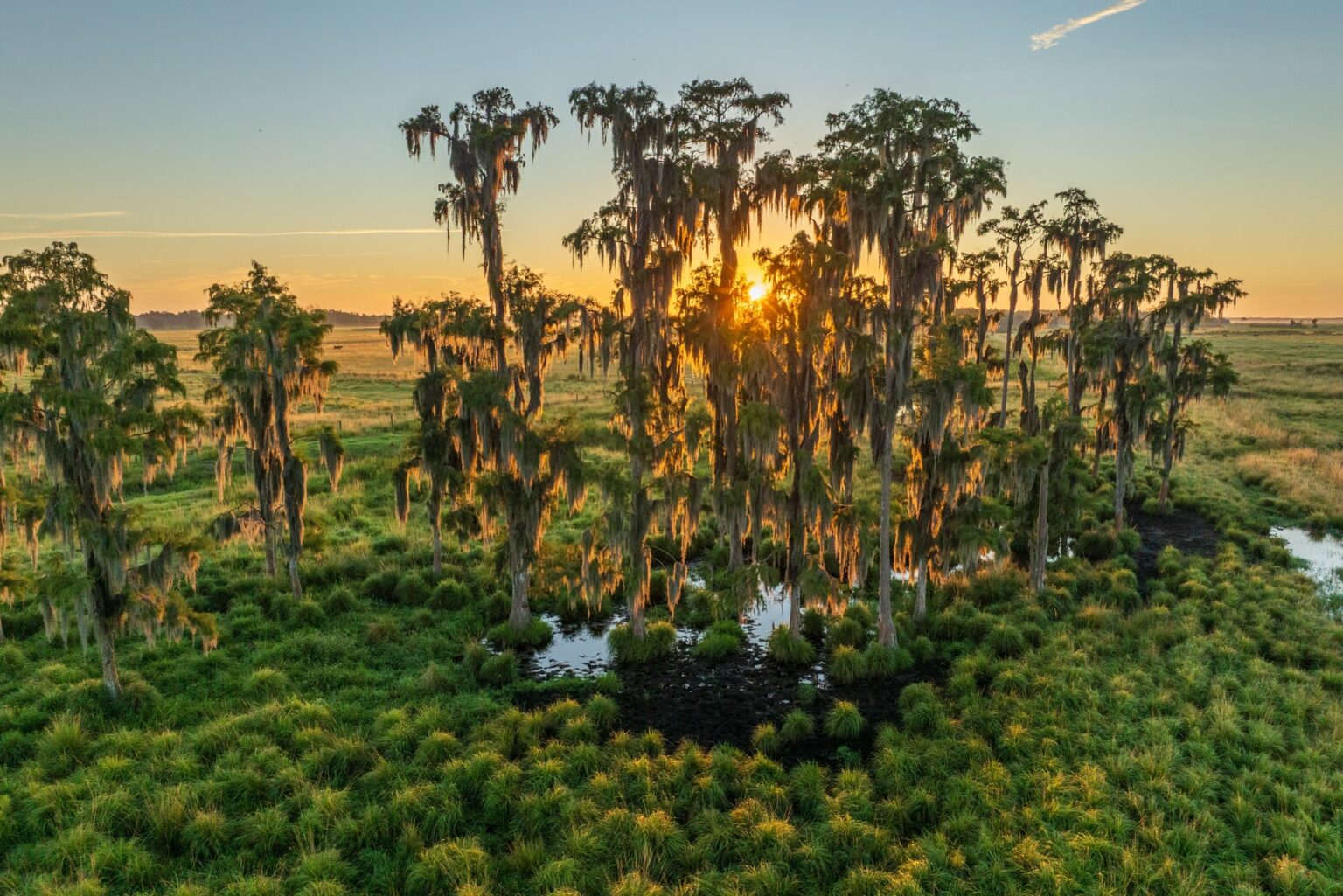 Florida Conservation Group
