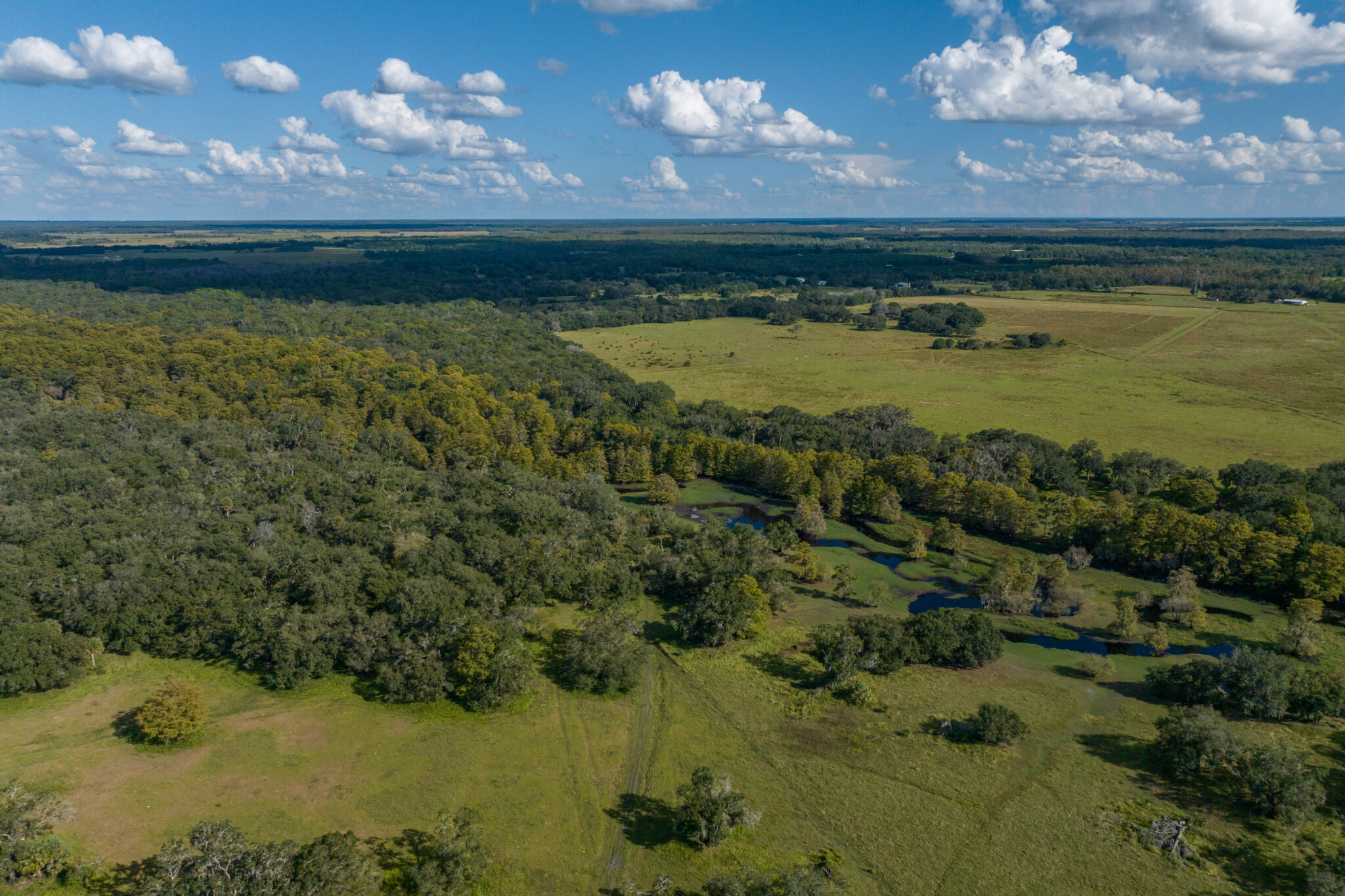 The Great Florida Prairie – Florida Conservation Group