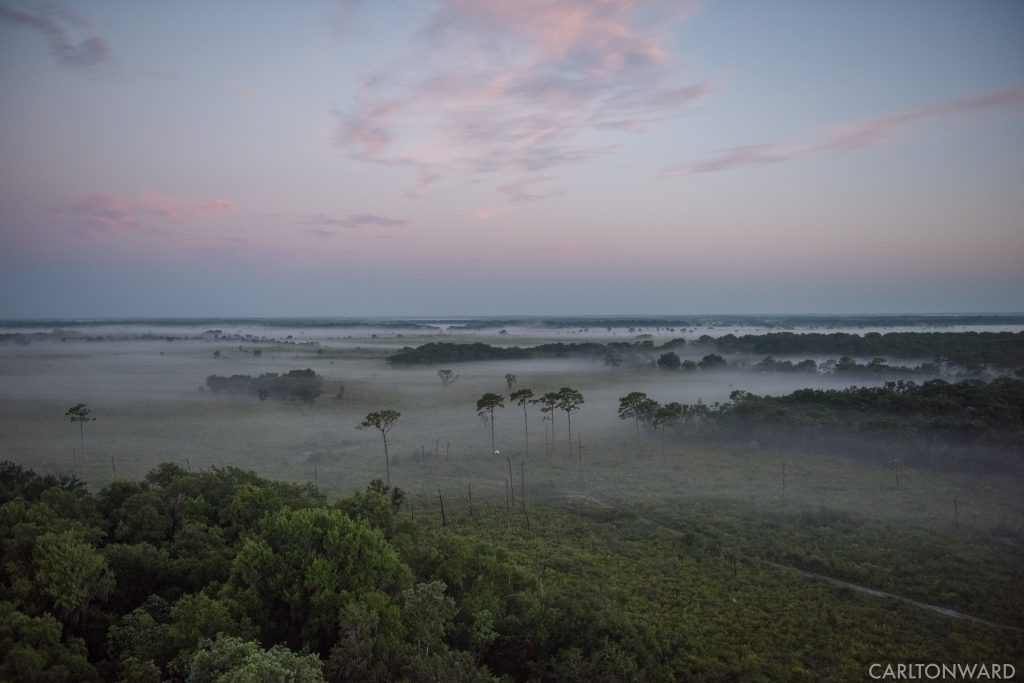 NRCS Agricultural Land Easement Program (ALE) – Florida Conservation Group
