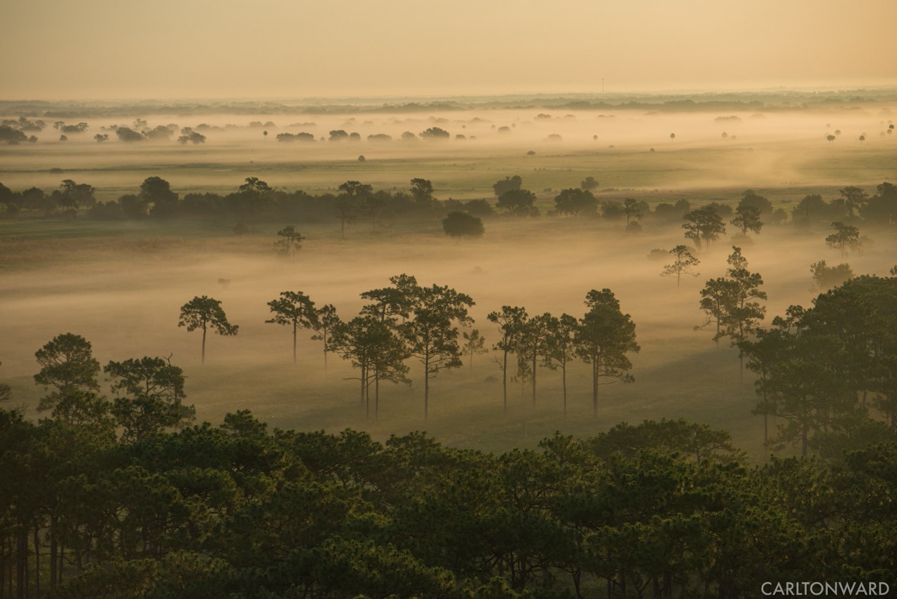 Florida Conservation Group