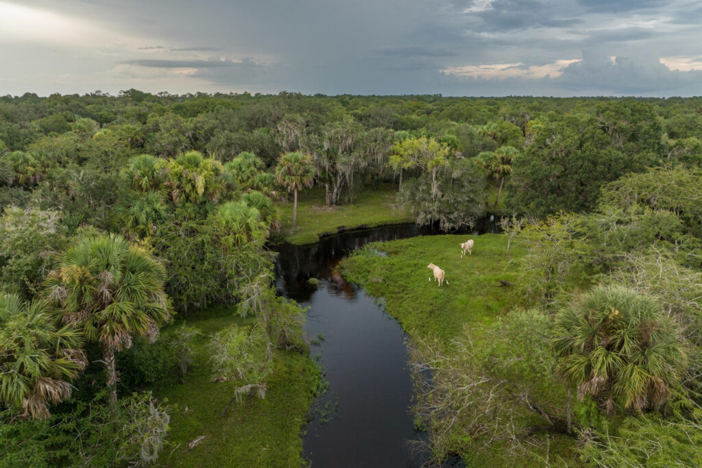 The Proposed Southwest Florida Fish and Wildlife Conservation Area ...