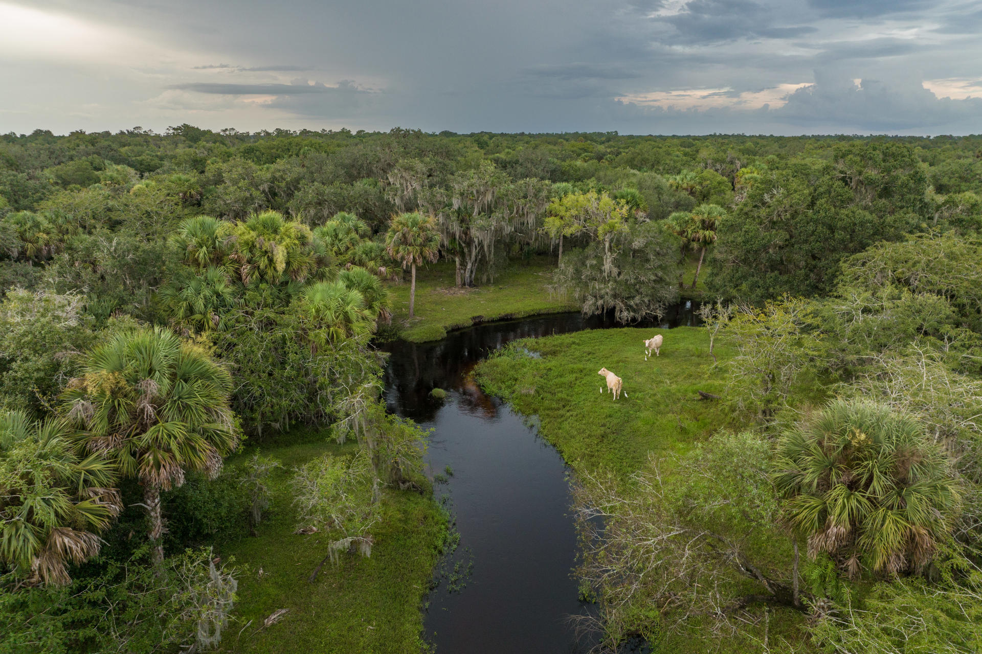 Florida Conservation Group