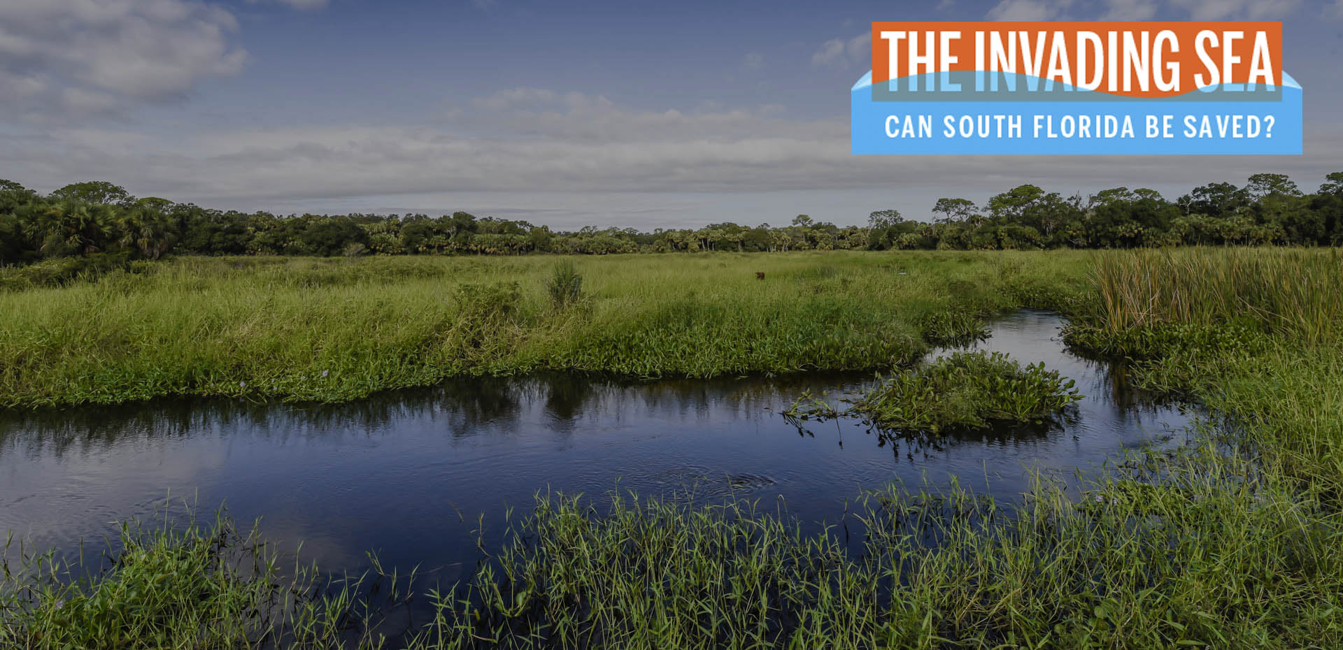 2021 – Florida Conservation Group