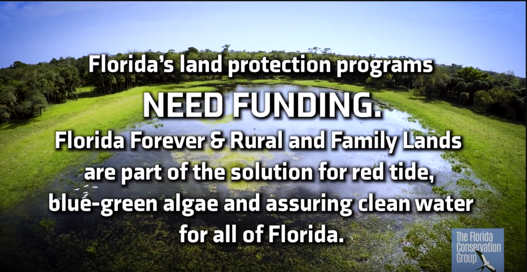 Watch Video | Florida’s Land Conservation Programs – Florida ...