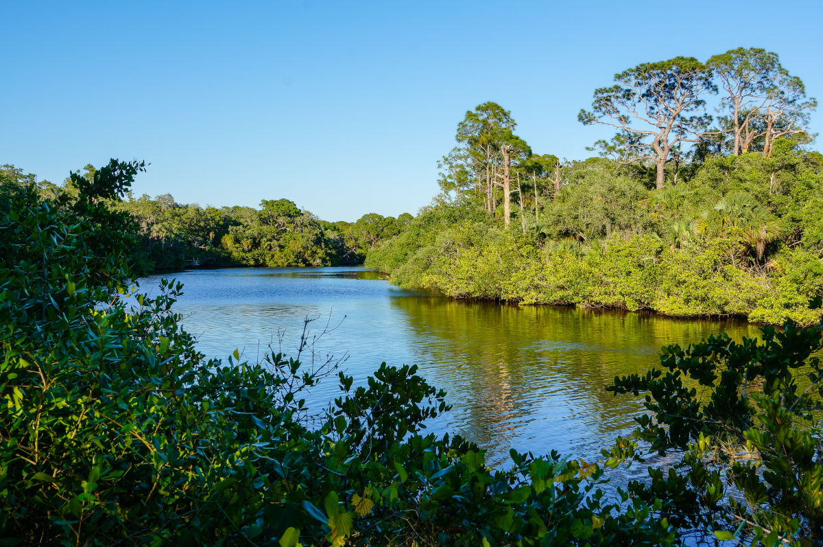 Florida Conservation Group