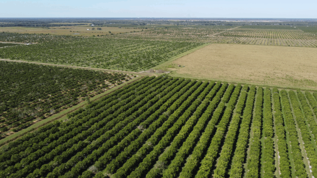 Florida Conservation Group