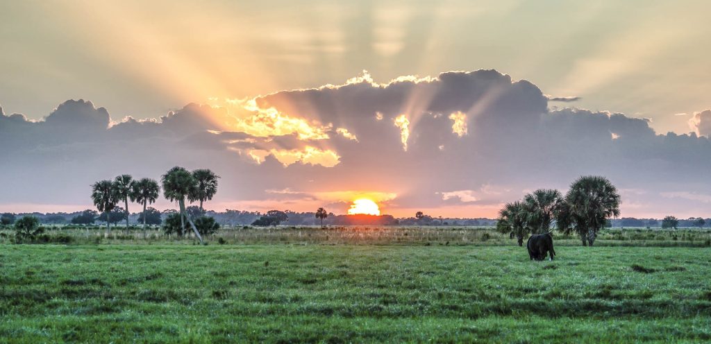 Rural and Family Lands Protection Program (RFLPP) and Florida Forever ...