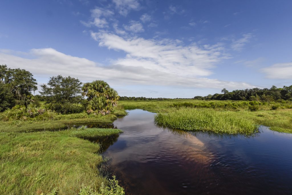 NRCS Wetland Reserve Easement Program (WRE) – Florida Conservation Group