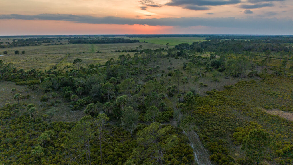 Florida’s Land Conservation Programs – Florida Conservation Group