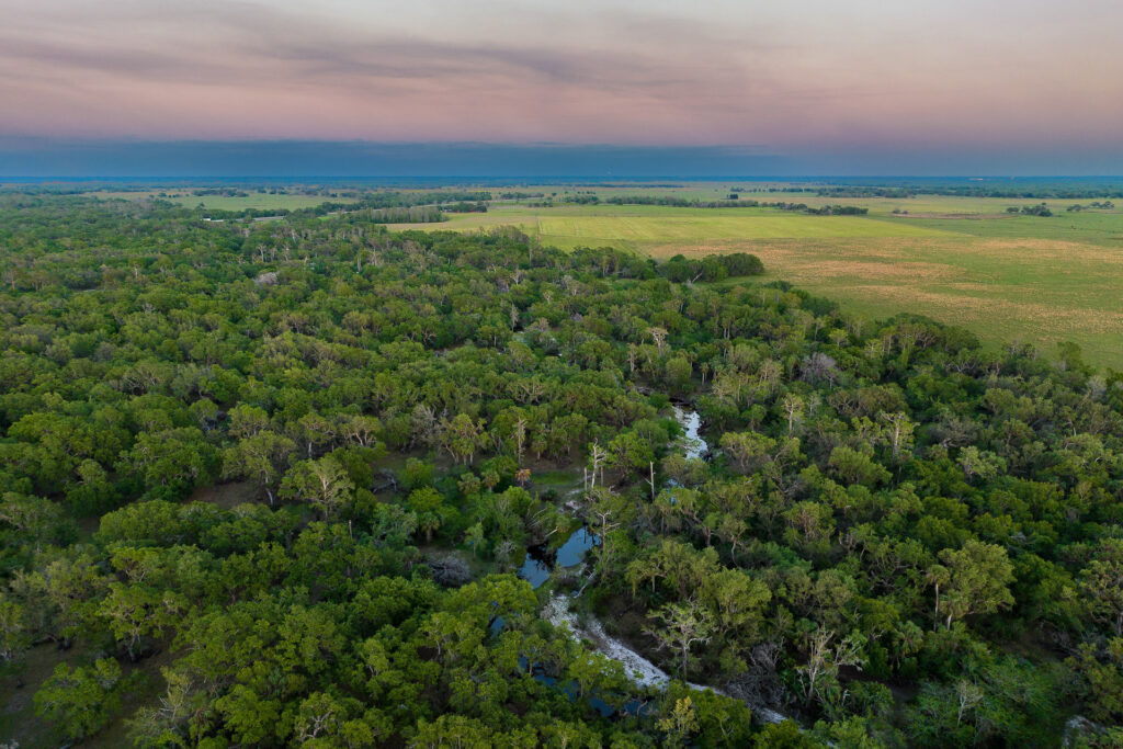 Florida Panther and Listed Species Habitat Priorities, Opportunities ...