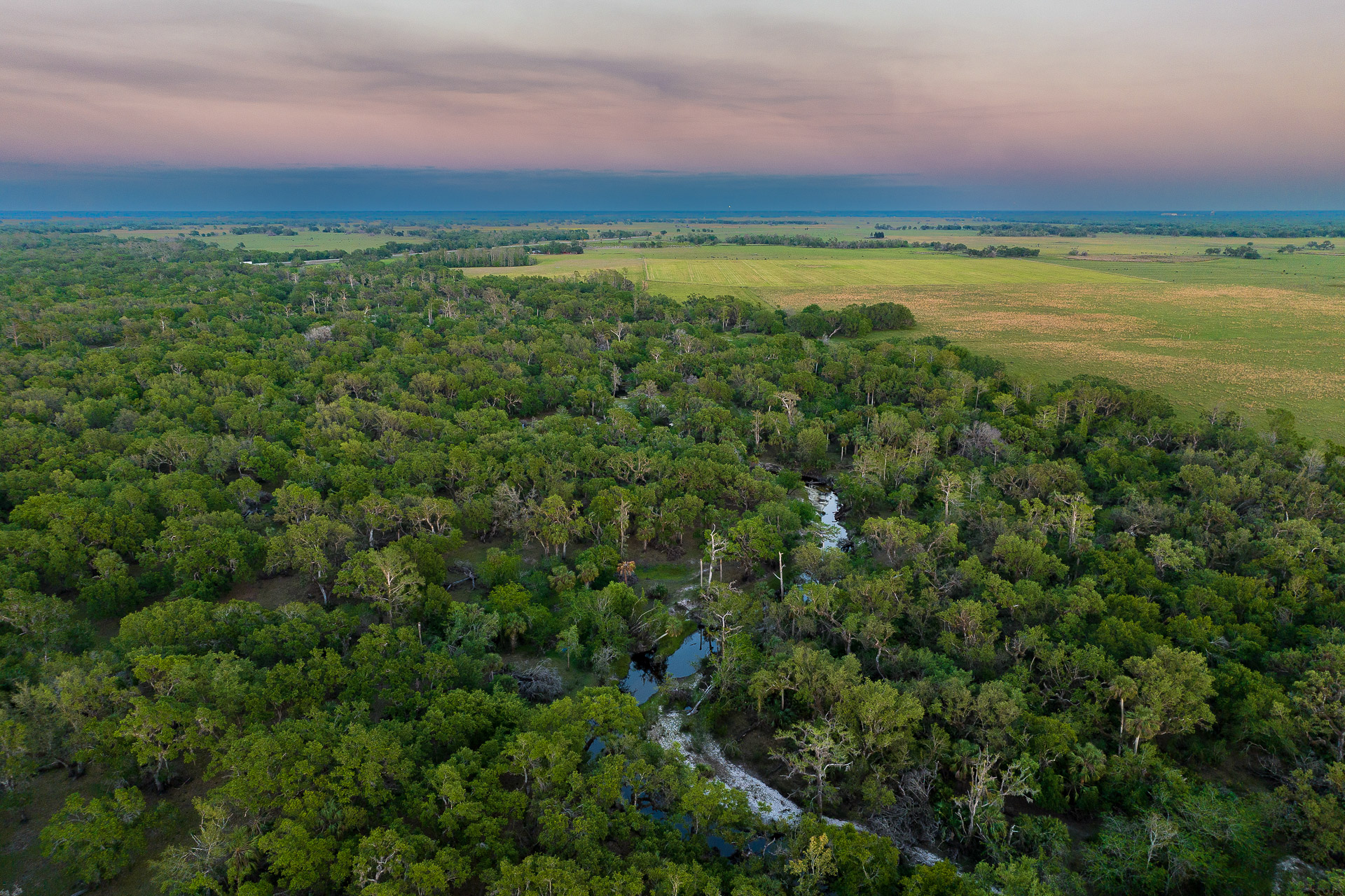 Our Work – Florida Conservation Group