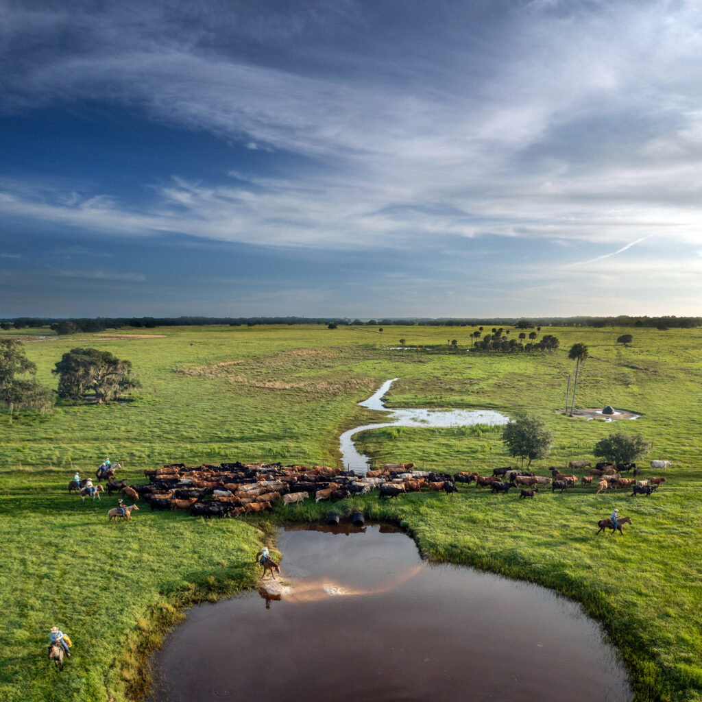 Florida Conservation Group