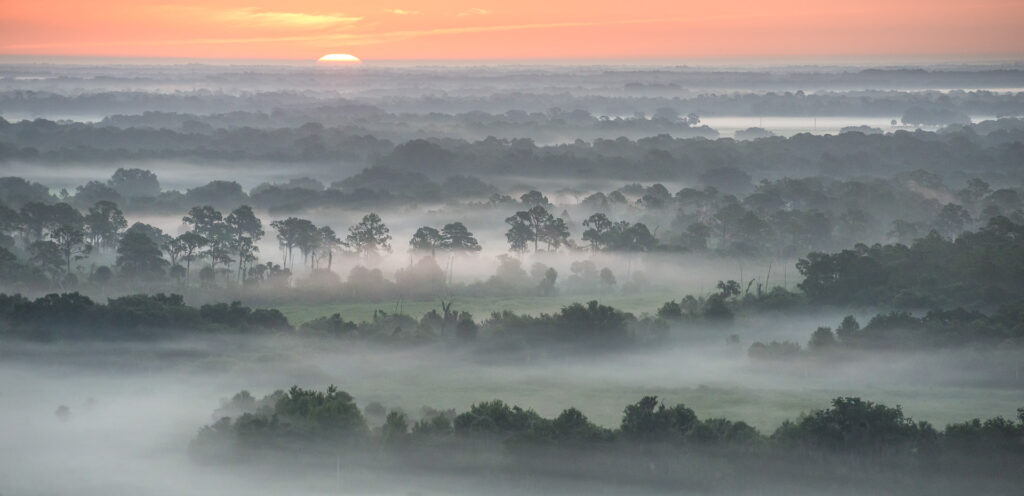 Land Conservation – Florida Conservation Group