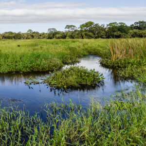 Florida Conservation Group