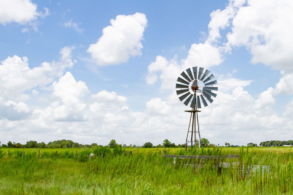 Our Work – Florida Conservation Group